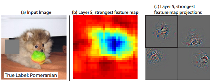 CNN中feature map可视化有哪些思路和方法吗？ - 知乎