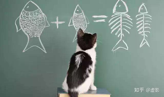 Vue Typescript Element 项目实战及踩坑记vue和element和typescript Csdn博客