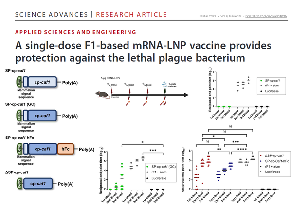 二手的科学家 的想法: 细菌mRNA疫苗 | mRNA平台在预防性疫苗方… - 知乎