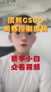 csgo搬砖北风 的想法: 浣熊csgo插件使用简介（1） | #CS:GO