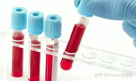 2024 Oligoscan, Spectrophotometry, & Top Trends-2024年Oligoscan分光光度法和热门趋势