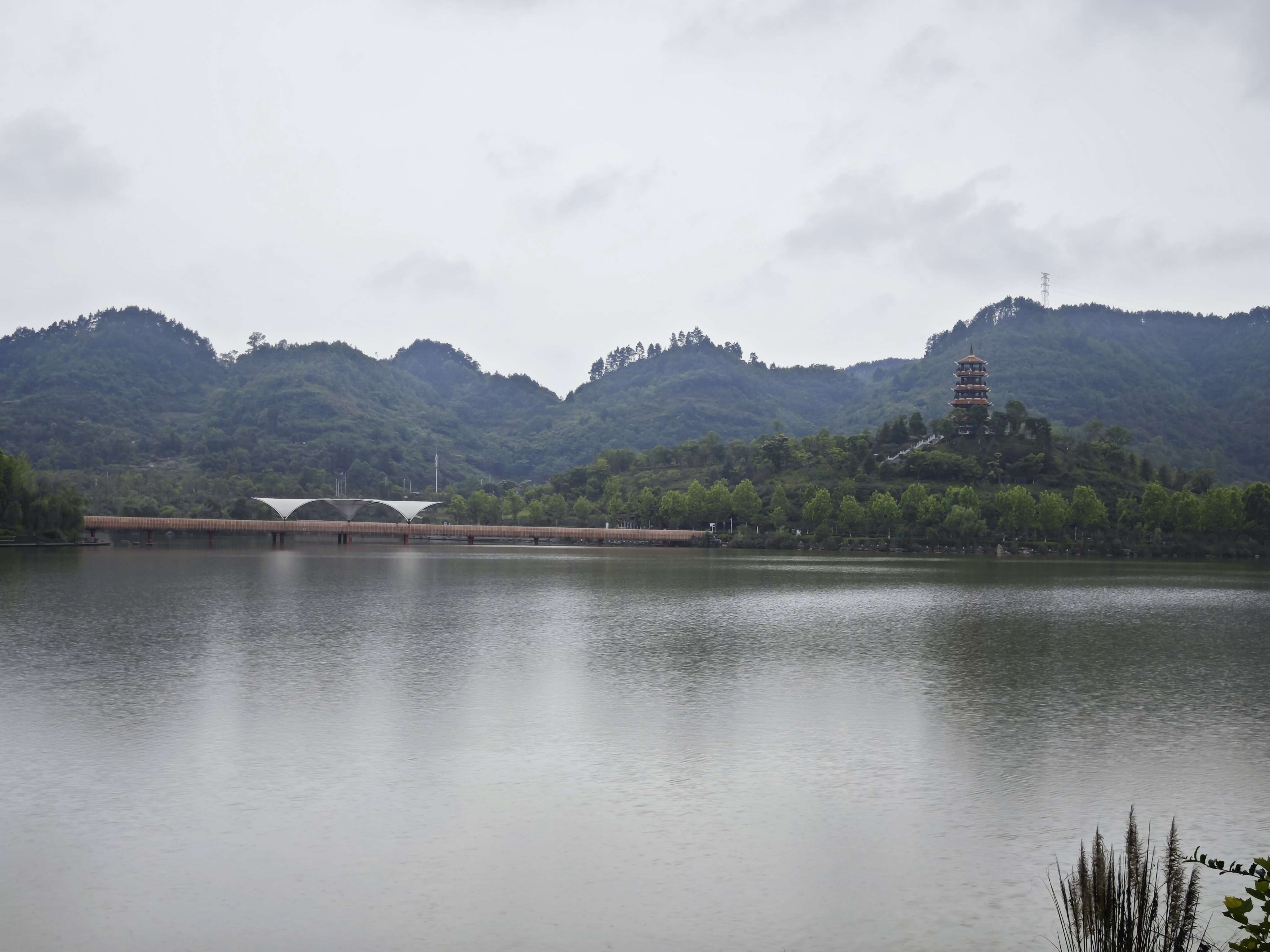 hjjkk 的想法: 在某些情况下，知识或者信息少的人可能还… - 知乎