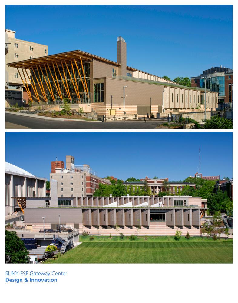 生态景观设计「雨水花园」在城市环境中有哪些应用？ - 知乎