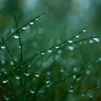 利用Python中的pip安装numpy+mkl库 - 知乎