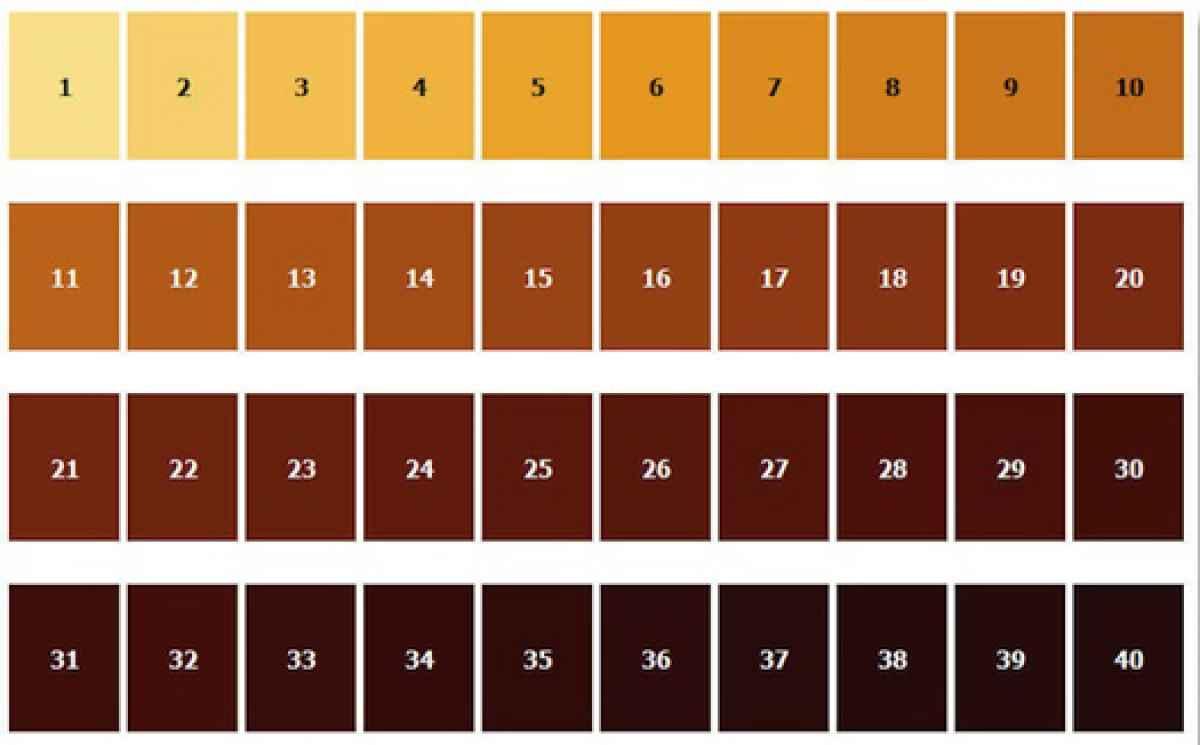 关于黑啤，你知道多少？ - 知乎