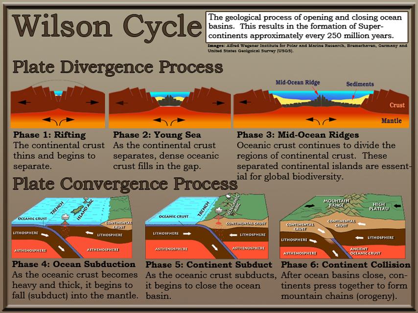 大陆漂移和地质构造中的板块运动是不是指同一回事？ - 知乎