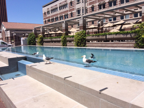 USC 2016FAll 新生入学PPV，USCard事宜 - 知乎