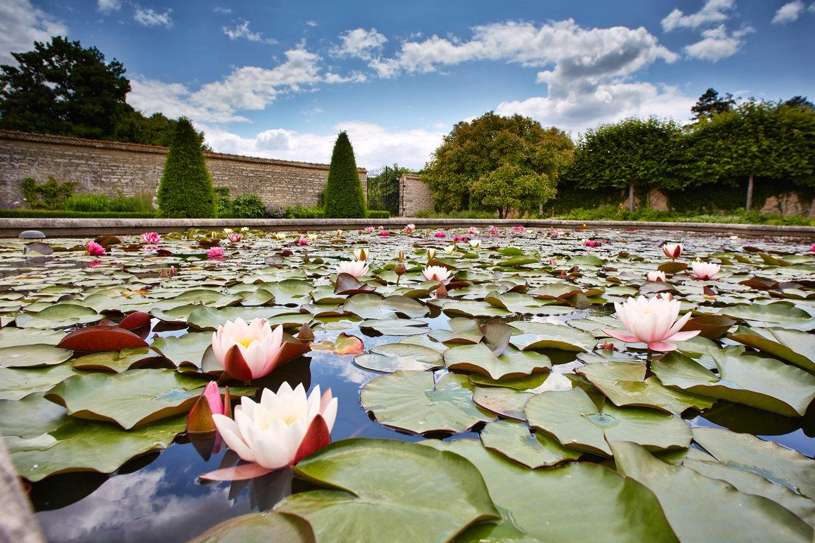 葡萄酒世界低调版迪士尼乐园 · 波玛城堡Château de Pommard - 知乎