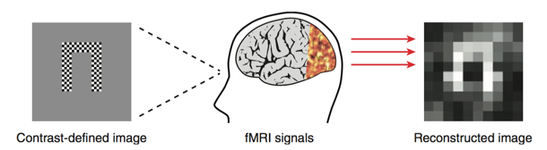 读心术的方法--多体素模式分析(MVPA) - 知乎
