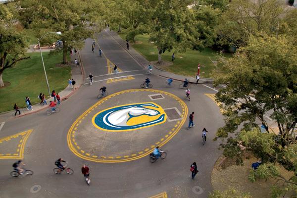 在加利福尼亚大学戴维斯分校 (UC Davis) 就读是怎样一番体验？ - 知乎