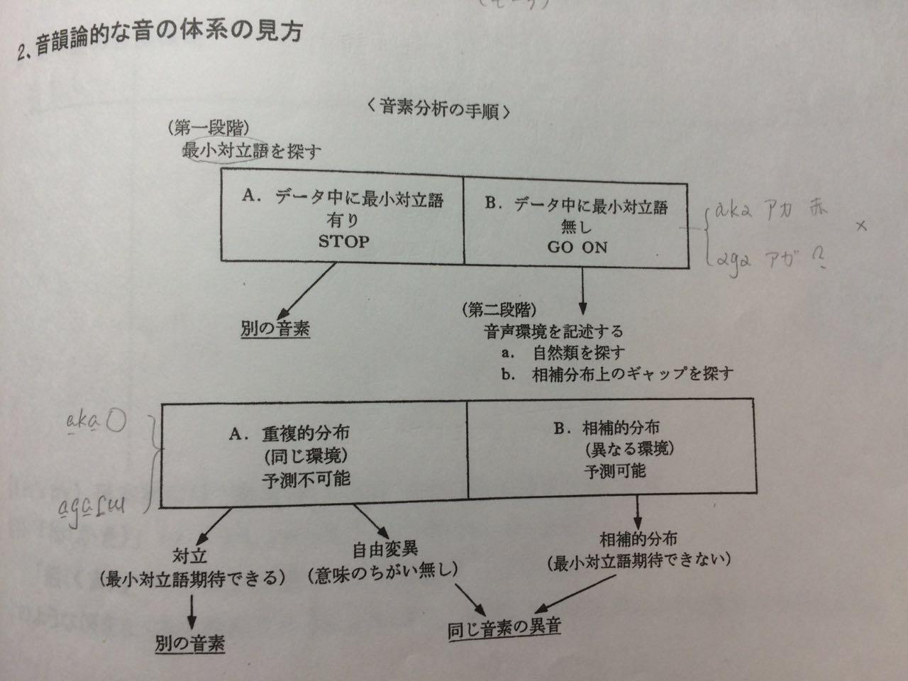 英语语言学里如何区分allophone和phoneme？ - 知乎