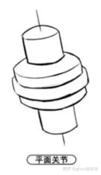 医学笔记，系统解剖学#6-关节学总论 - 知乎