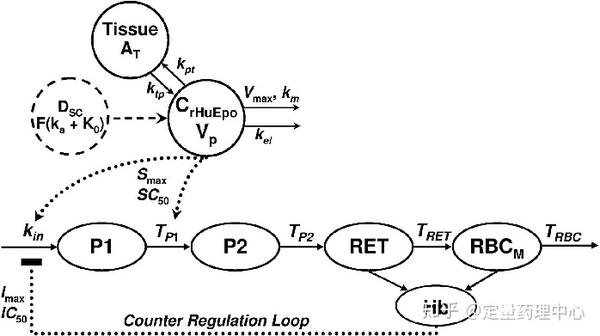 PKPD模型-基于机制的药代动力学/药效学（PK/PD）模型预测人体药效 - 知乎
