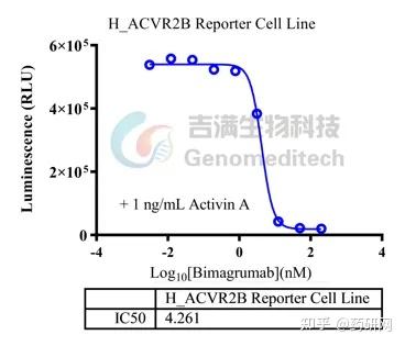 Bimagrumab数据惊艳! ActRII 引爆高质量减重新热潮 - 知乎