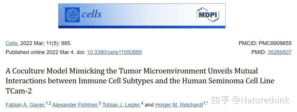 体外模型揭示了免疫细胞亚型与人睾丸精原细胞瘤细胞系TCam-2之间的相互作用 - 知乎