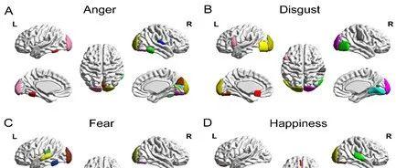 基于脑功能连接模式解码六种基本情绪 - 知乎