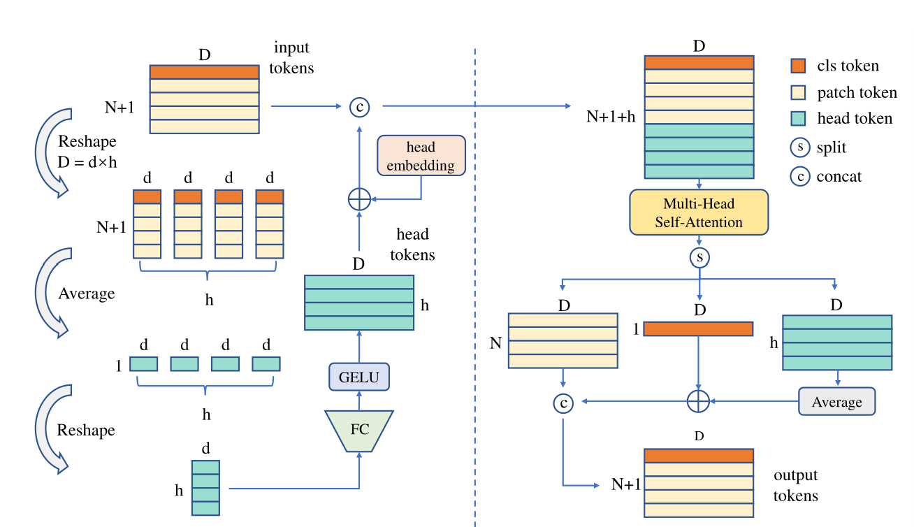 Bridging the Gap Between Vision Transformers and Convolutional Neural Networks on Small Datasets ...