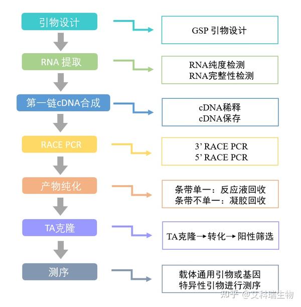 注意这些细节，为 RACE 实验保驾护航 - 知乎