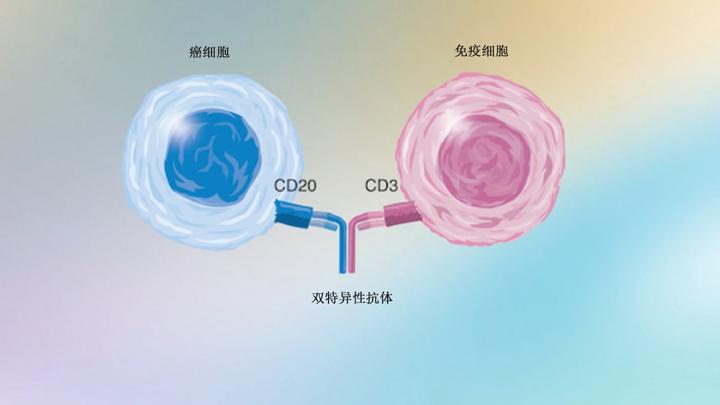 双特异性抗体Ordspono在欧盟获批，作为两种淋巴瘤的三线疗法 - 知乎
