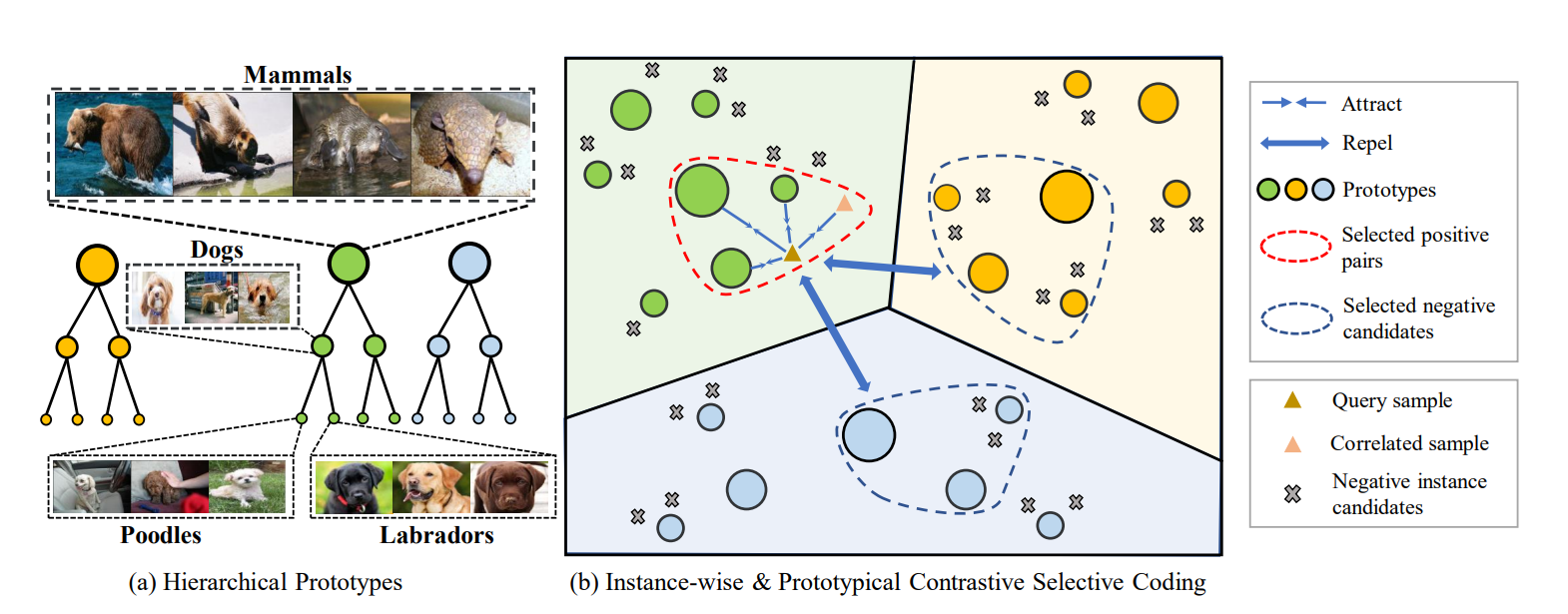 [CVPR 2022] HCSC: Hierarchical Contrastive Selective Coding - 知乎