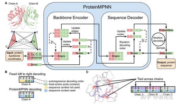 蛋白质设计:proteinMPNN,Hallucinating protein assemblies,Scaffolding protein ...