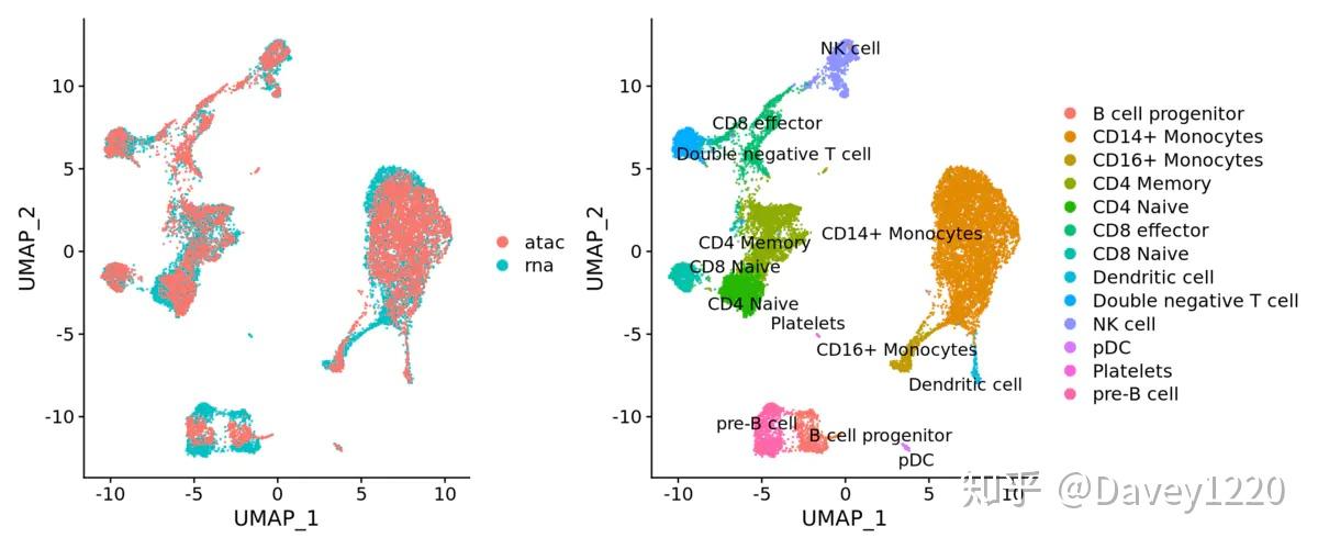 Seurat包学习笔记（六）：scATAC-seq + scRNA-seq integration - 知乎