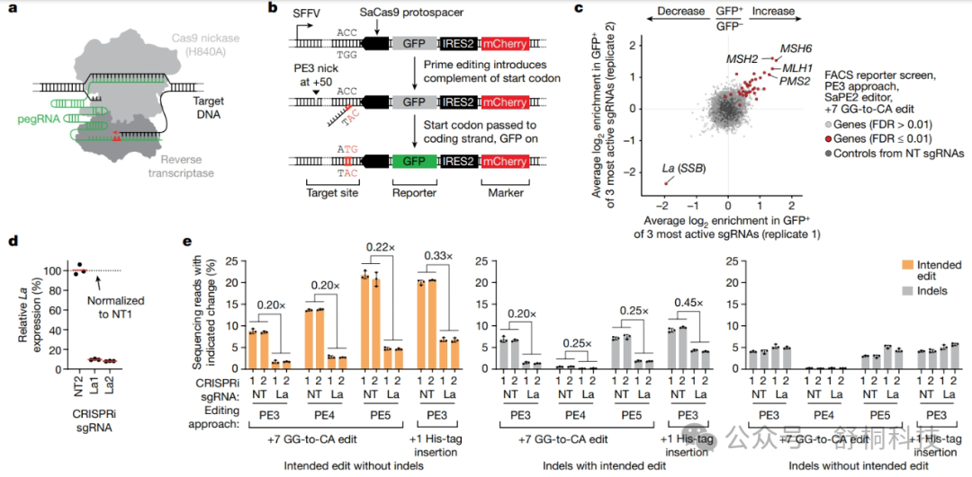 文献分享 | Nature：Prime Editor重磅升级，PE7系统！ - 知乎