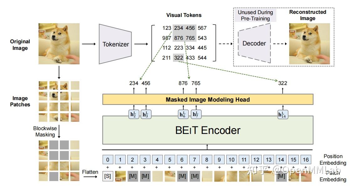 自监督学习系列（三）：基于 Masked Image Modeling - 知乎