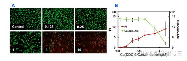 关于高分文章中染色类图柱的翻译，你知道哪些技巧能让你的文章锦上添花吗？ - 知乎