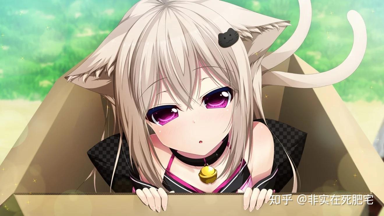 简单易懂的GAL入门及解包上手教程 - 知乎