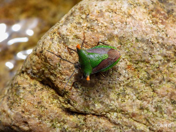 找到一个bug！一种常见的因为偷懒而导致的痛苦 - 知乎