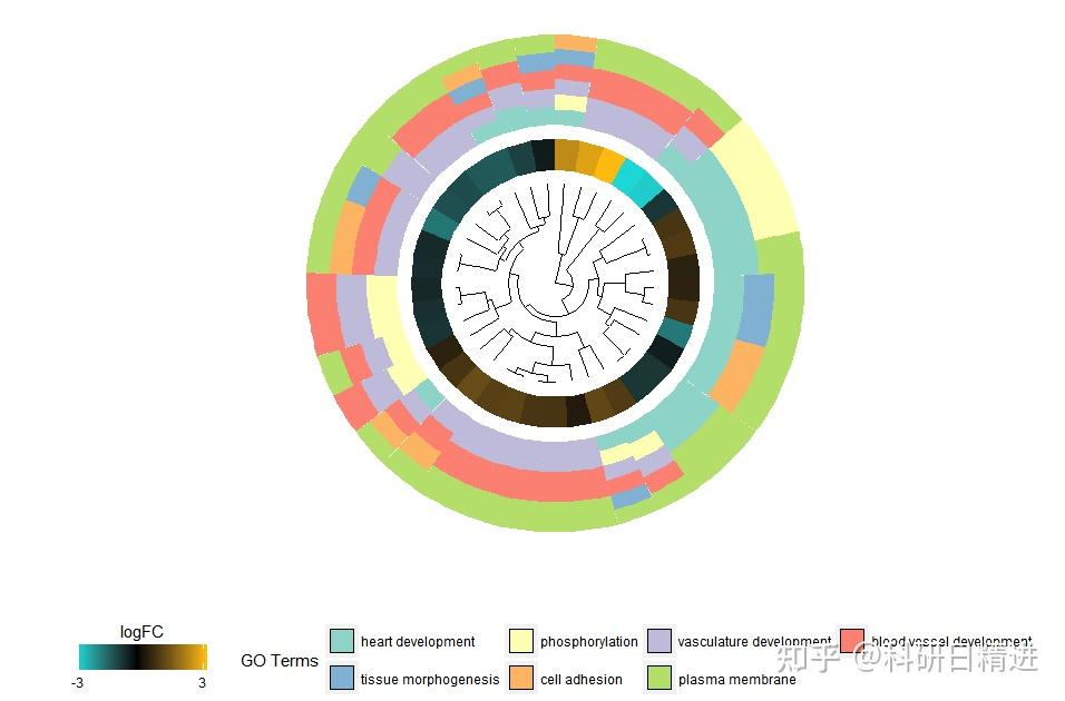 如何使用GOplot画一张精美的GO分析图 - 知乎