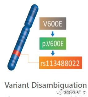 PubMed文献智能挖掘工具 - 知乎