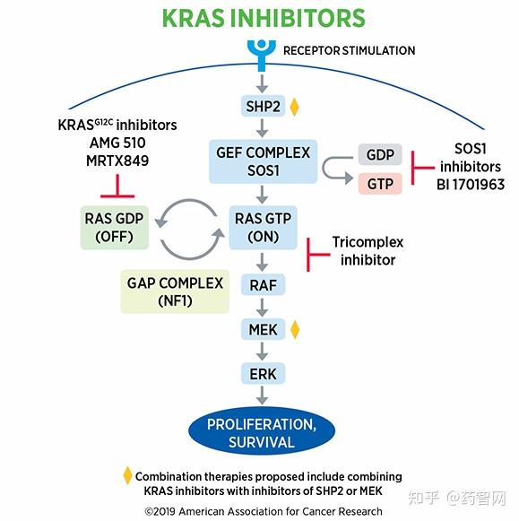 AACR 2024：KRAS抑制剂最新进展 - 知乎