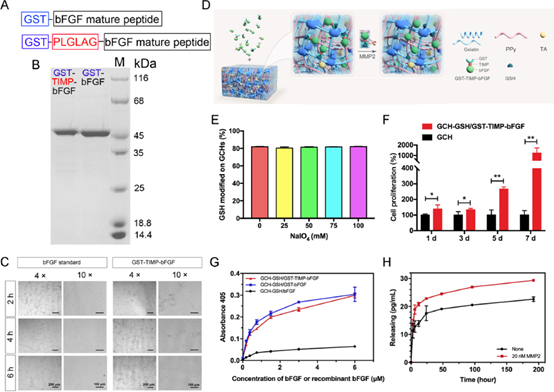 《Biomaterials》损伤响应智能水凝胶恢复脊髓生物物理微环境以增强组织修复 - 知乎