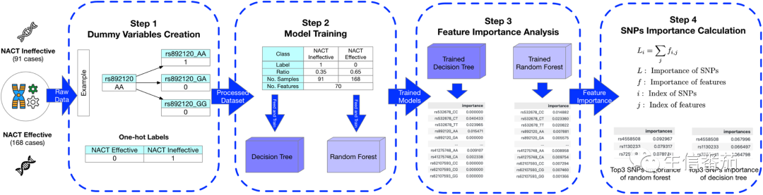 单核苷酸多态性(SNPs)如何做分析？基于基因分型利用机器学习方法构建药敏性预测模型！跨领域结合真的香！4张图轻松搞定7分+文章 - 知乎
