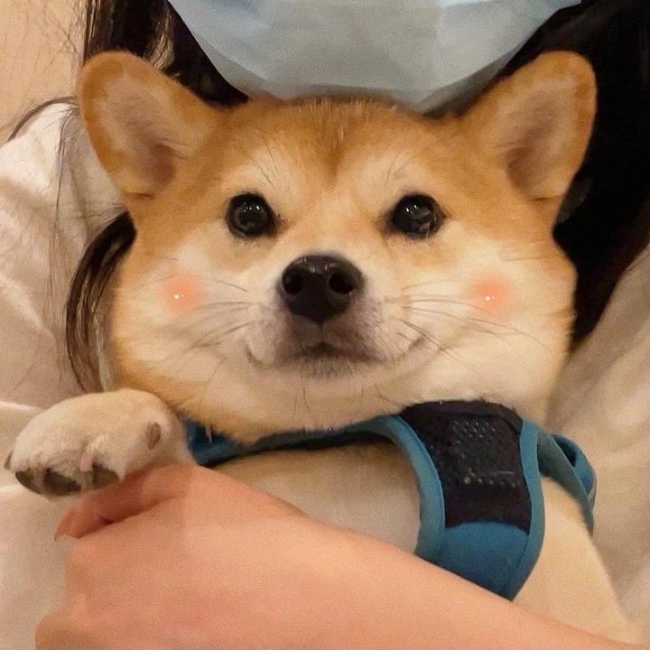 《FedGL: Federated Graph Learning Framework with Global Self-Supervision》paper reading - 知乎