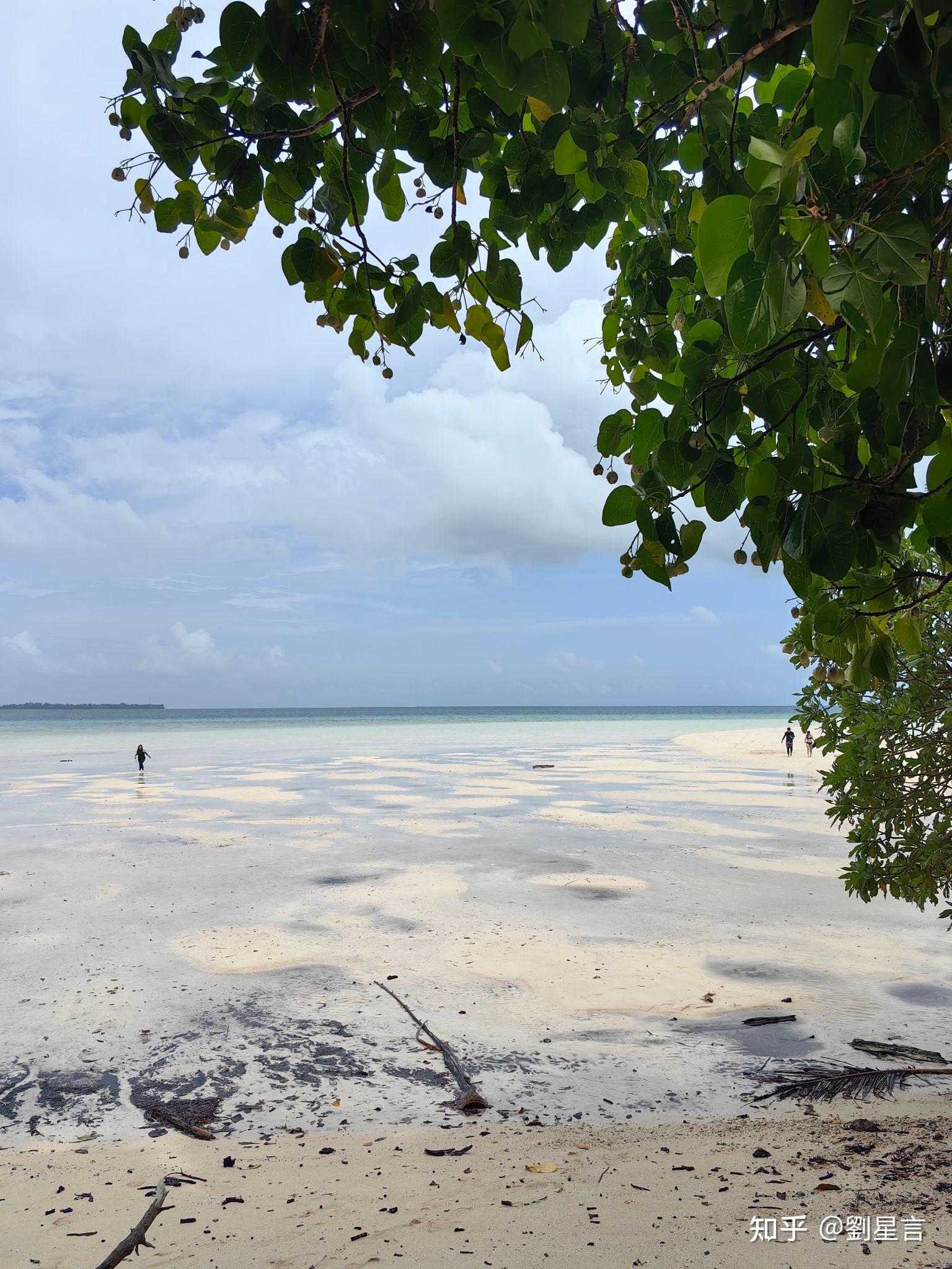 帕劳 Palau ---Terri的超详细旅行攻略 - 知乎