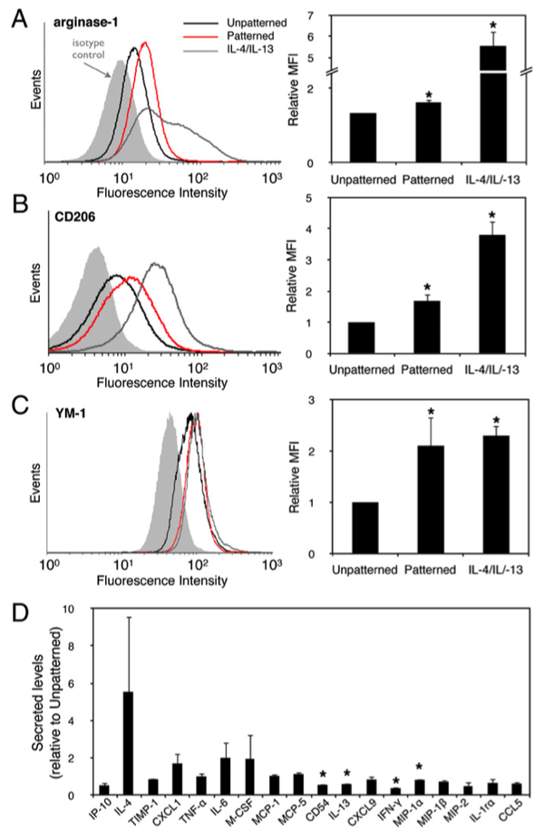 PNAS丨M1-M2巨噬细胞形态学对比 - 知乎