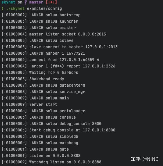 skynet 开发(1)——安装skynet - 知乎