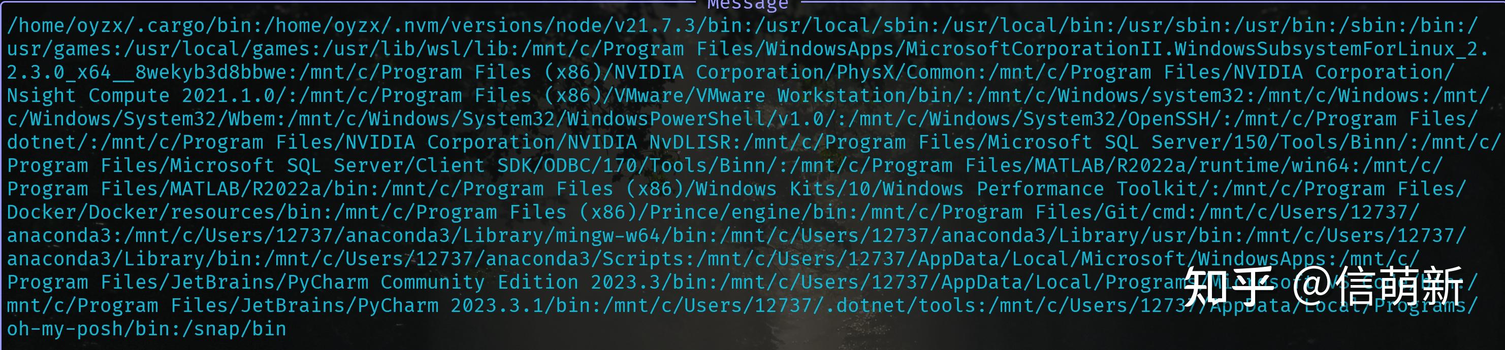 【Linux】Neovim框架—AstroNvim初识 - 知乎