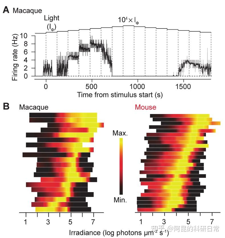 Matlab进阶绘图第7期—条带热图 - 知乎