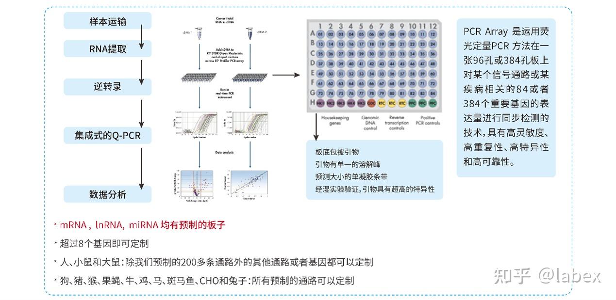PCR array技术介绍及应用 - 知乎
