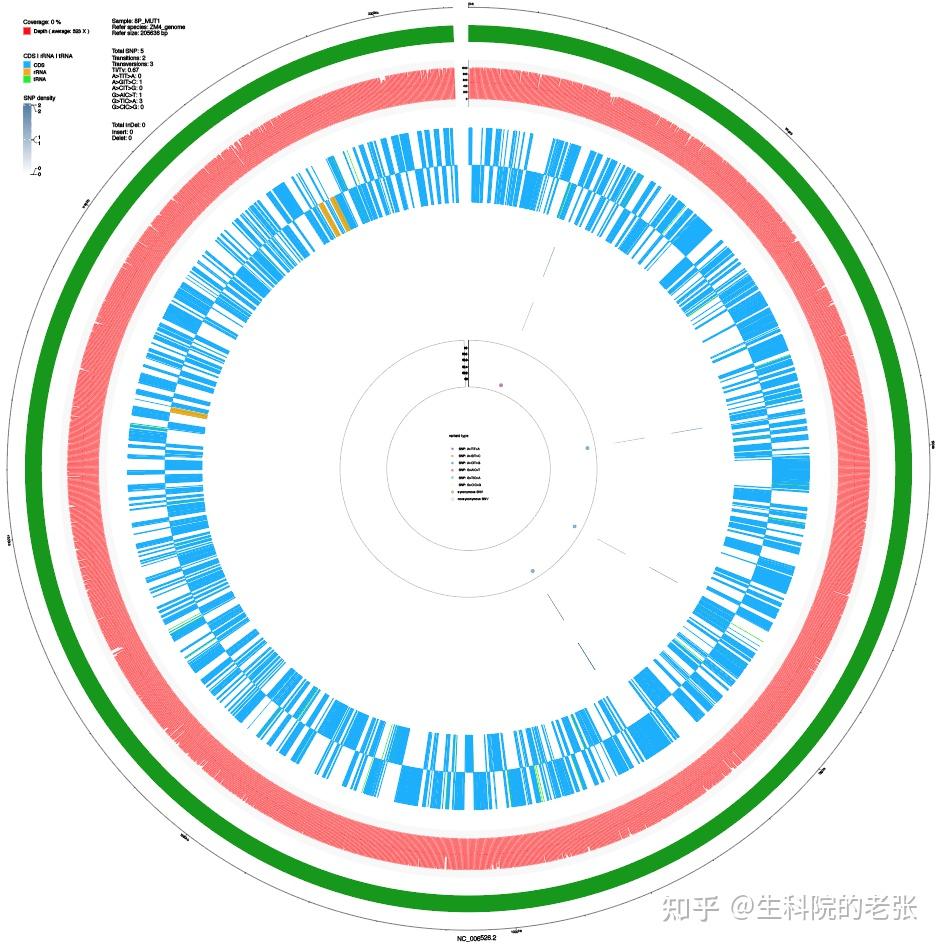 WGS(全基因组测序)/WES(全外显子组测序)/WGRS(全基因组重测序)分析与可视化教程 - 知乎