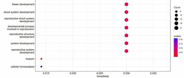 GWAS分析中的GO和KEGG富集分析 - 知乎