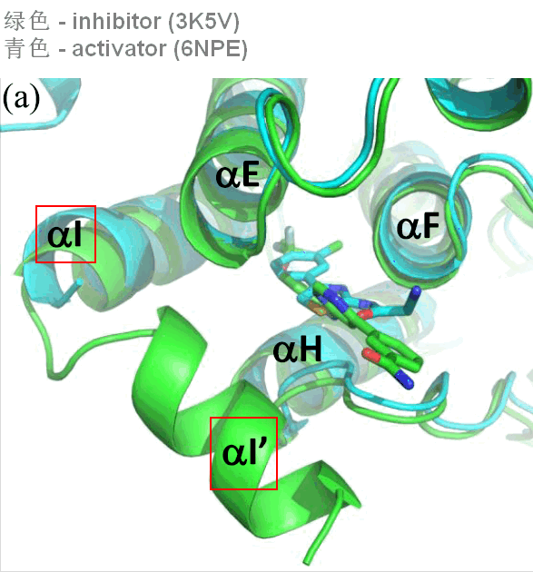 BCR-ABL1变构: 何以激活, 何以抑制 - 知乎