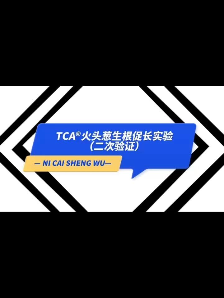 TCA火头葱生根促长实验（二次验证） - 知乎