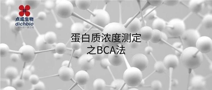 点成分享 | 蛋白质浓度测定之BCA法 - 知乎