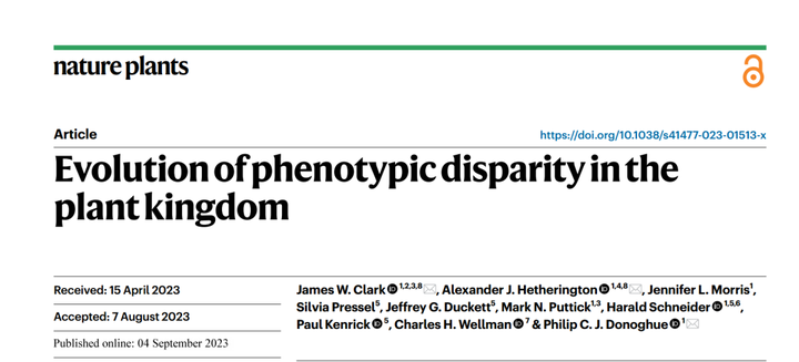 Nat. Plants | 植物表型差异性的演化 - 知乎
