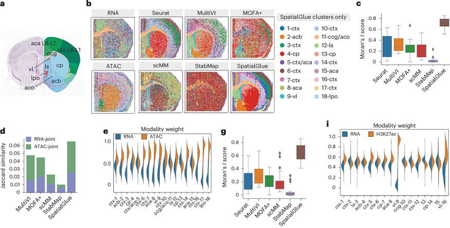 分享一个空间多组学整合算法SpatialGlue - 知乎